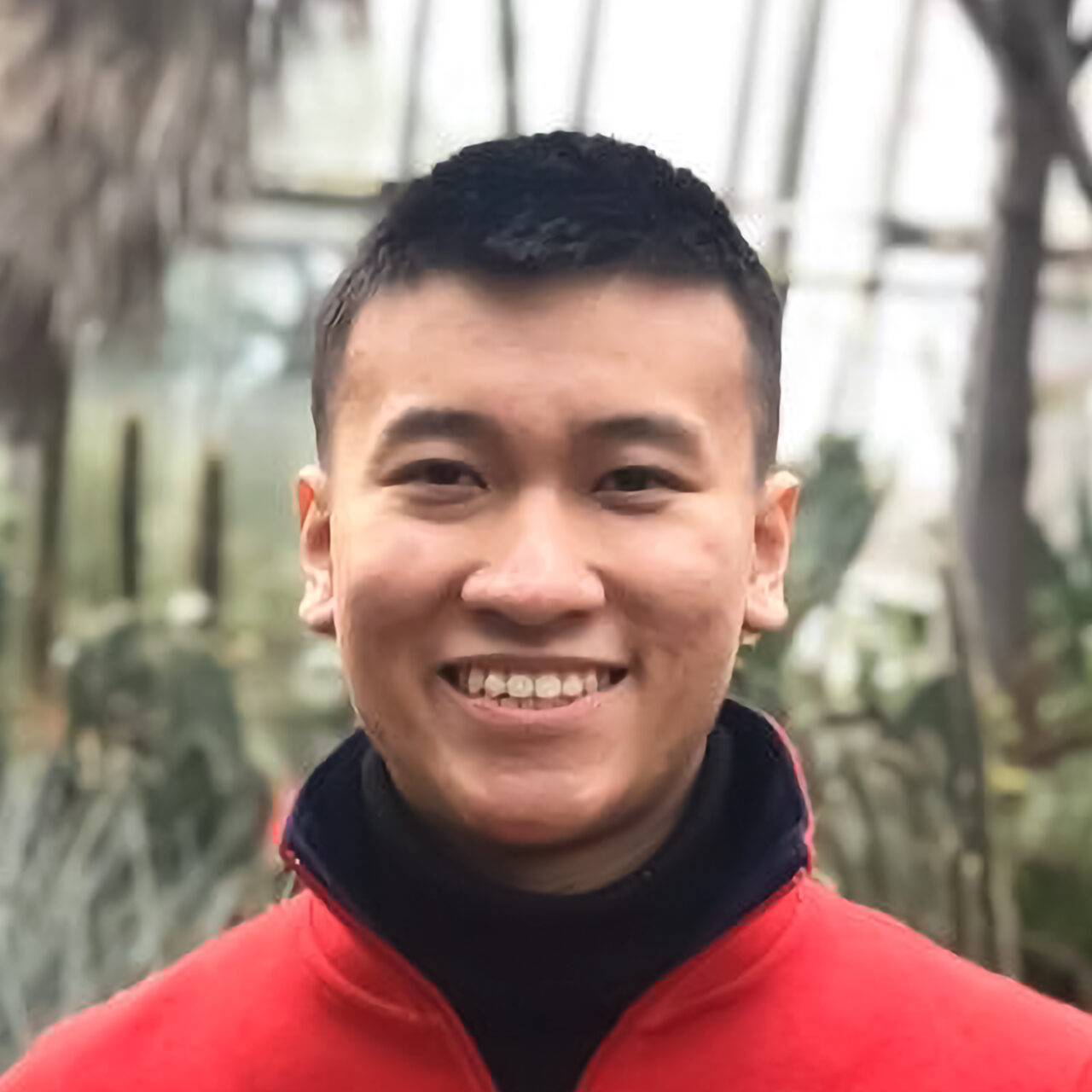 Quantifying highly influential directors using network centrality ...