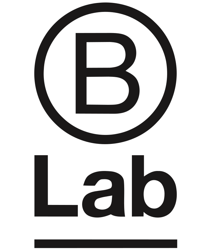 How B Lab UK used The Data City to evidence the business resilience of ...